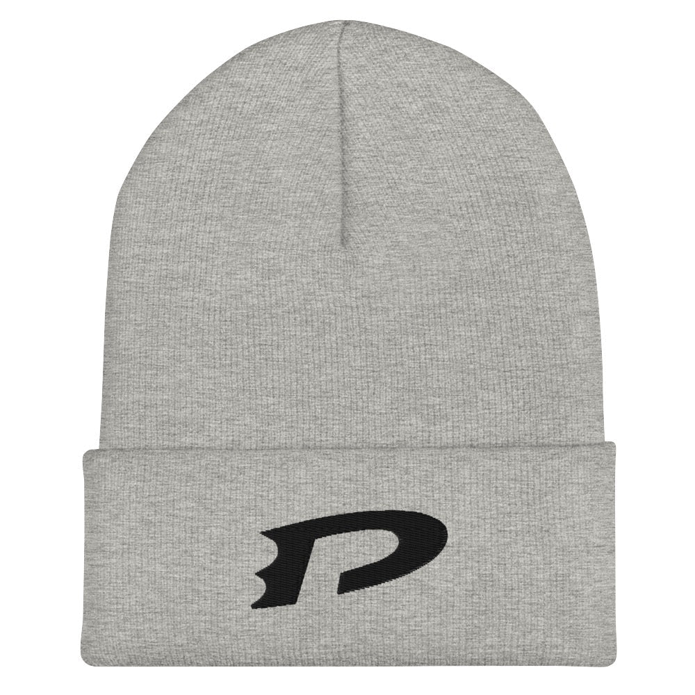 Danny Phantom Logo Cuffed Beanie – Paramount Shop
